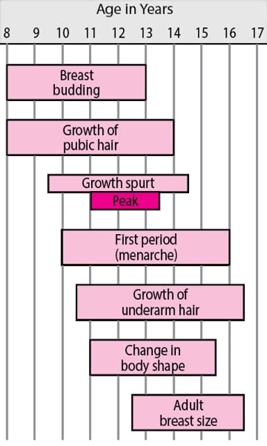 Imagemilestones For Sexual Development In Girls Msd Manual Consumer