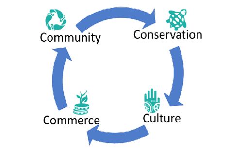 The 4cs Framework Source The Long Run 2020 Download Scientific Diagram