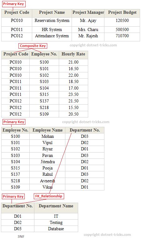 Database Normalization Basics