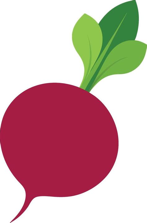 Fresh Beetroot Illustration For Organic Designs 57519218 Vector Art At