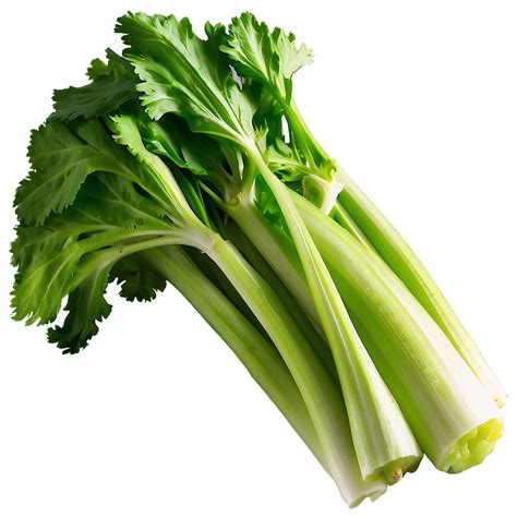 Download Freshly Cut Celery Png 52