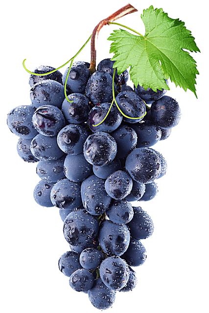 Rüyada Üzüm Görmek Raisins Photographie De Fruit Photos De Fruits