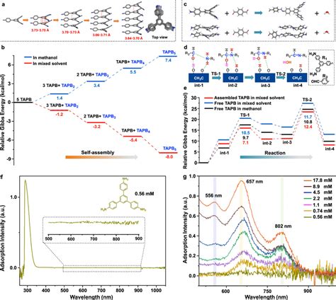 Self Assembly And Schiff Base Condensation Of Tapb Monomer Dft Download Scientific Diagram