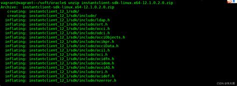 Linux Php72环境下安装pdooci，oci8扩展使用yii连接oraclelinux Php源码添加oci8扩展 Csdn博客