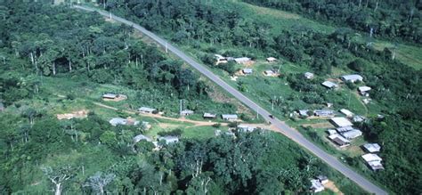 Forest Friendly Infrastructure Solutions Wwf Forest Solution Platform