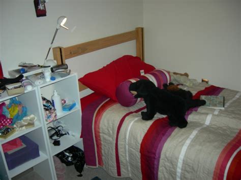 Being Constance Bailey