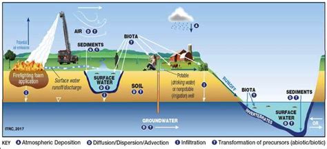 Pfas Panel Discussion Summary