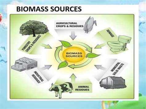 Biomass Estimation Ppt
