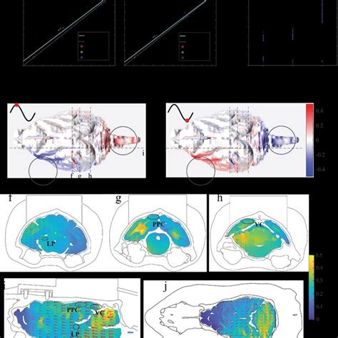 Transcranial Alternating Current Stimulation Engages Cortical Alpha Download Scientific Diagram