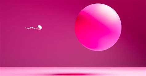 Por Que Temos Somente As Mitocôndrias Das Nossas Mães Super