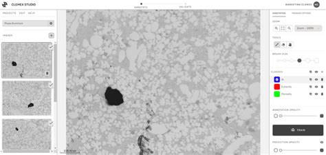 Image Analysis For Microscopy Made Simple With Machine Learning Clemex