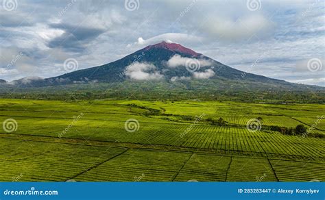 Tea Plantations Kayu Aro And Mount Kerinci Sumatra Indonesia Stock Image Image Of Field