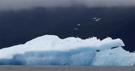 Fleming Yachts Presents Venture Rediscovers Southeast Alaska Episode 4 Boattest