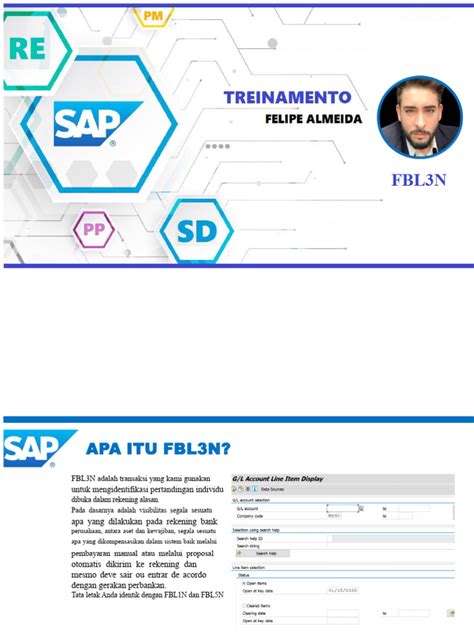 Panduan Lengkap Transaksi Fbl3n Sap Pdf
