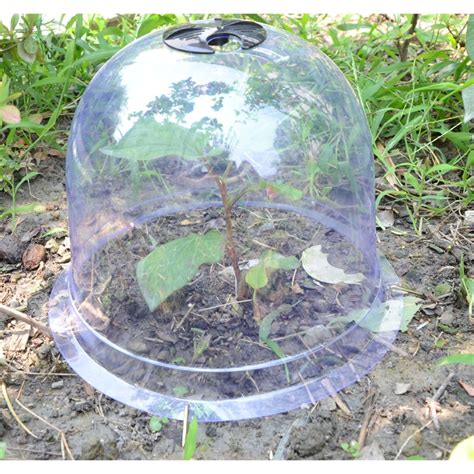 Mini Greenhouse 20 Pack Plant Cloches 78x11 Clear Plastic Garden