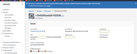 amazon inspector explained boosting cloud security for your aws