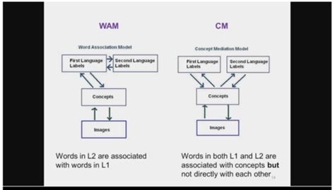 Cognitive Psyc Exam 3 Flashcards Quizlet