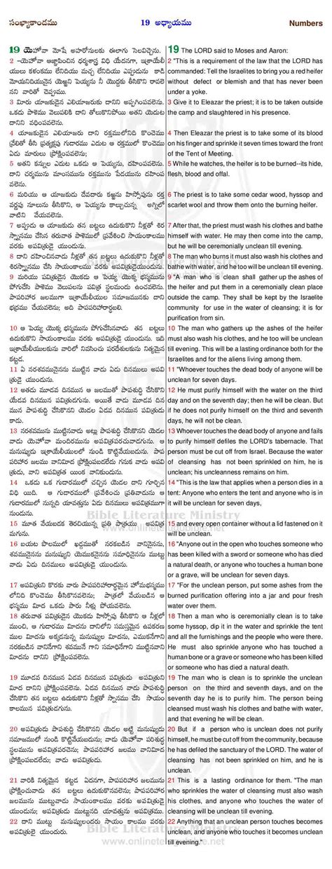 Bible Literature Ministry Telugu English Bible Numbers Chapter 19