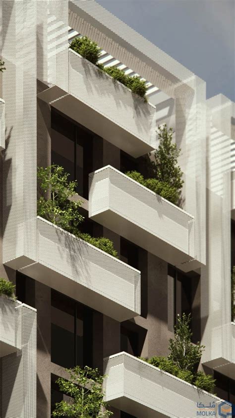 شوکا ولنجک ملکا