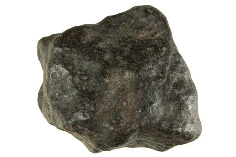 54 Carbonaceous Chondrite Meteorite 143 G Nwa 16415 313694