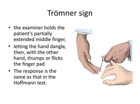 Pathologic Reflexes Monofilament Tests And Meningeal Signspptx Death