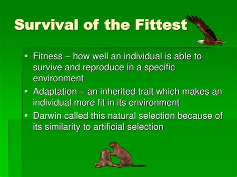 Ppt Natural Selection Powerpoint Presentation Free Download Id 1780380