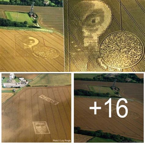 University Mathematician Decodes The Crop Circle With A Binary Code