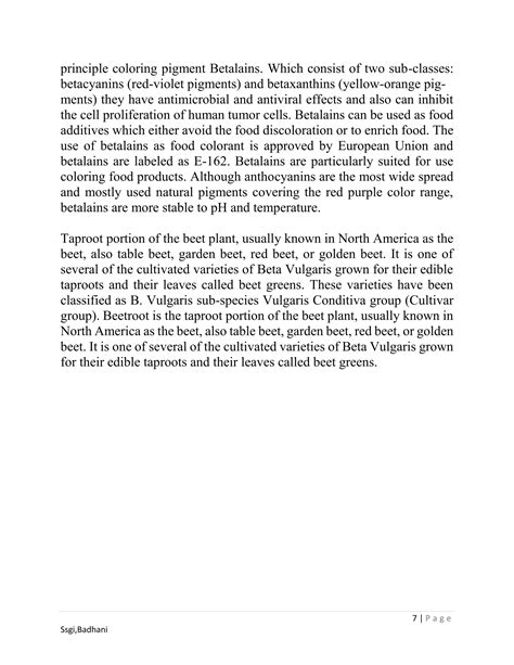 Extraction Of Natural Dye From Beetroot Beta Vulgaris And Preparation