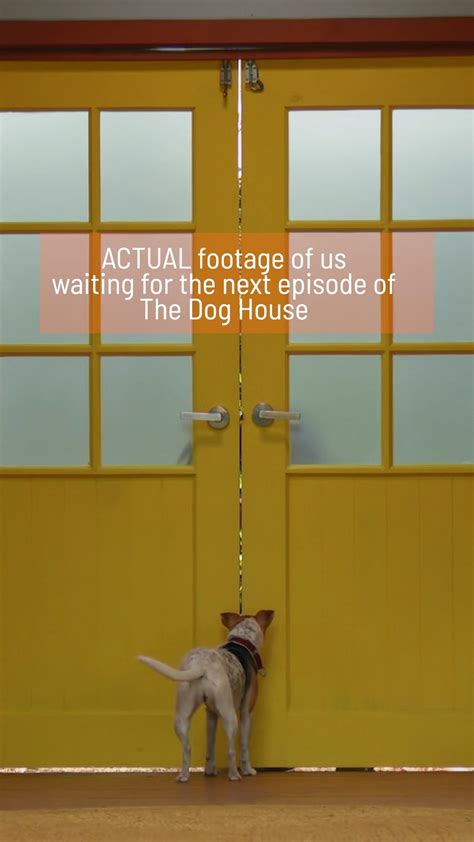 Uncle Colin Hunter Jr Welcome To Country Cupweekon10 Uncle Colin Hunter Jr Provides The