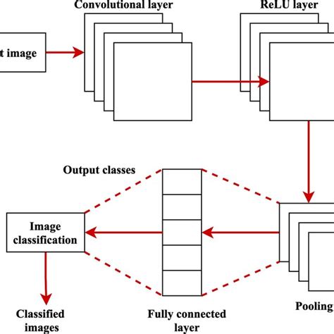 Cnn Structure For Biomedical Picture Categorisation Download Scientific Diagram