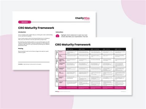 Cro Maturity Audit Framework Template Charitywise