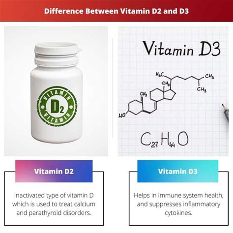 Vitamin D2 And D3 Difference At Alan Horvath Blog