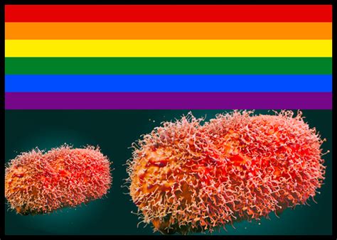 Intensive Monkeypox Vaccination Among High Risk Communities Large