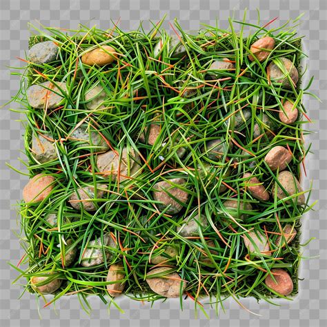 Premium Psd Psd Fescue Deep Forest Green Grass With Vibrant Orange
