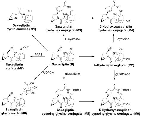 Evaluation Of The Drug Induced Liver Injury Potential Of Saxagliptin