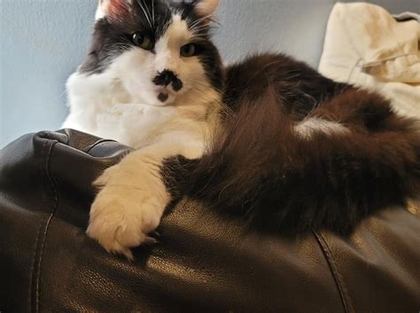 Kitler Checking In Rkitler