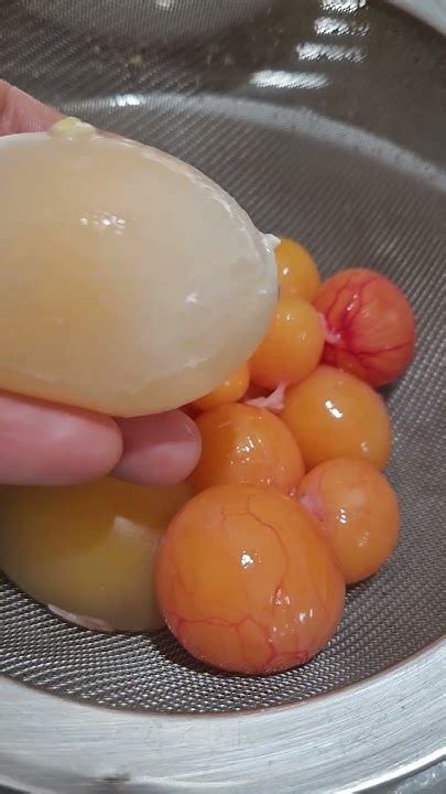 Underdeveloped Eggs Chicken Eggs Shorts Youtube