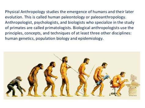 What Is Anthropology