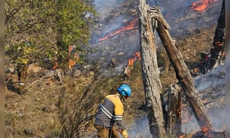 Primer Incendio Forestal De 2026 En Córdoba Activa Alertas El Riesgo