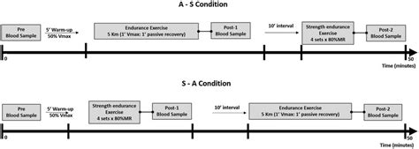 Blood Sample Flowchart Download Scientific Diagram