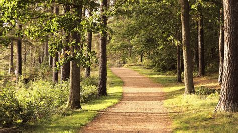 Behandling Av Exacerbation