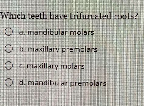 Which Teeth Have Trifurcated Roots A Mandibular Molars B Maxillary Premolars C Maxillary