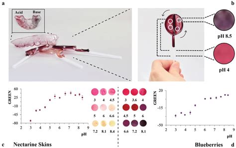 Characterization Of Mouth‐conformable Interfaces Based On Download