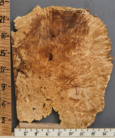 5a Spalted Burl Maple Lumber With Live Edge 18 X 22 X 1 Nwt 4864c