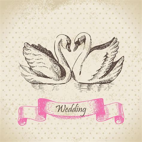 Premium Vector Swans Wedding Hand Drawn Illustration