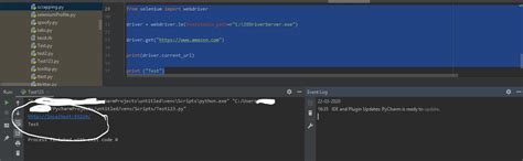 internet explorer selenium code not executed after driver get
