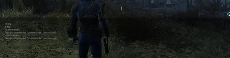 console commands are back in game confirmed r fo4
