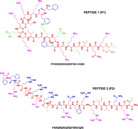 Schematic Line Structure Of P1 And P2 Download Scientific Diagram