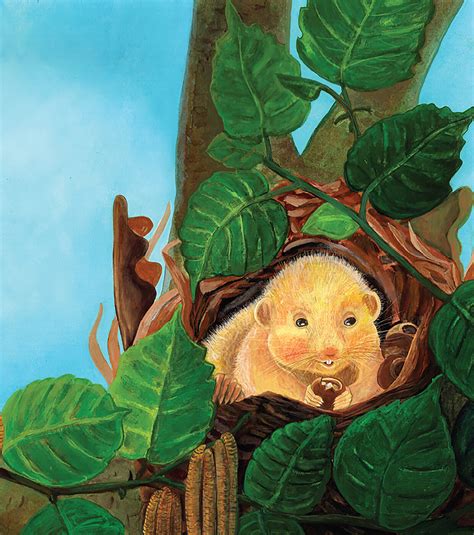 Artstation Hazel Dormouse Muscardinus Avellanarius Illustrations