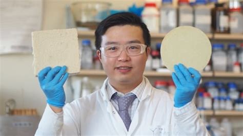 Biofoam Biodegradable Alternative To Styrofoam Created From Wood
